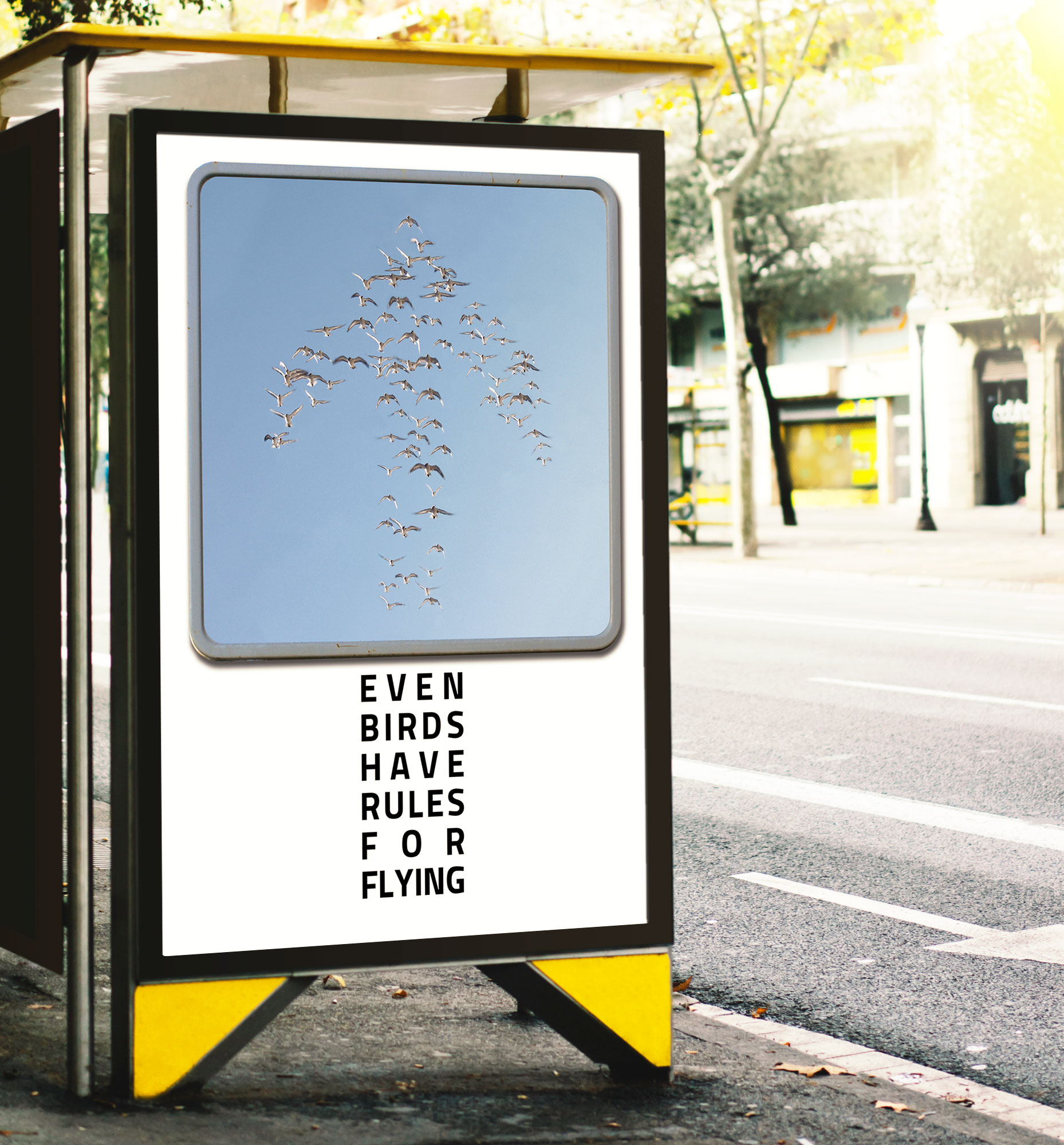 Flying – studiofarvardin