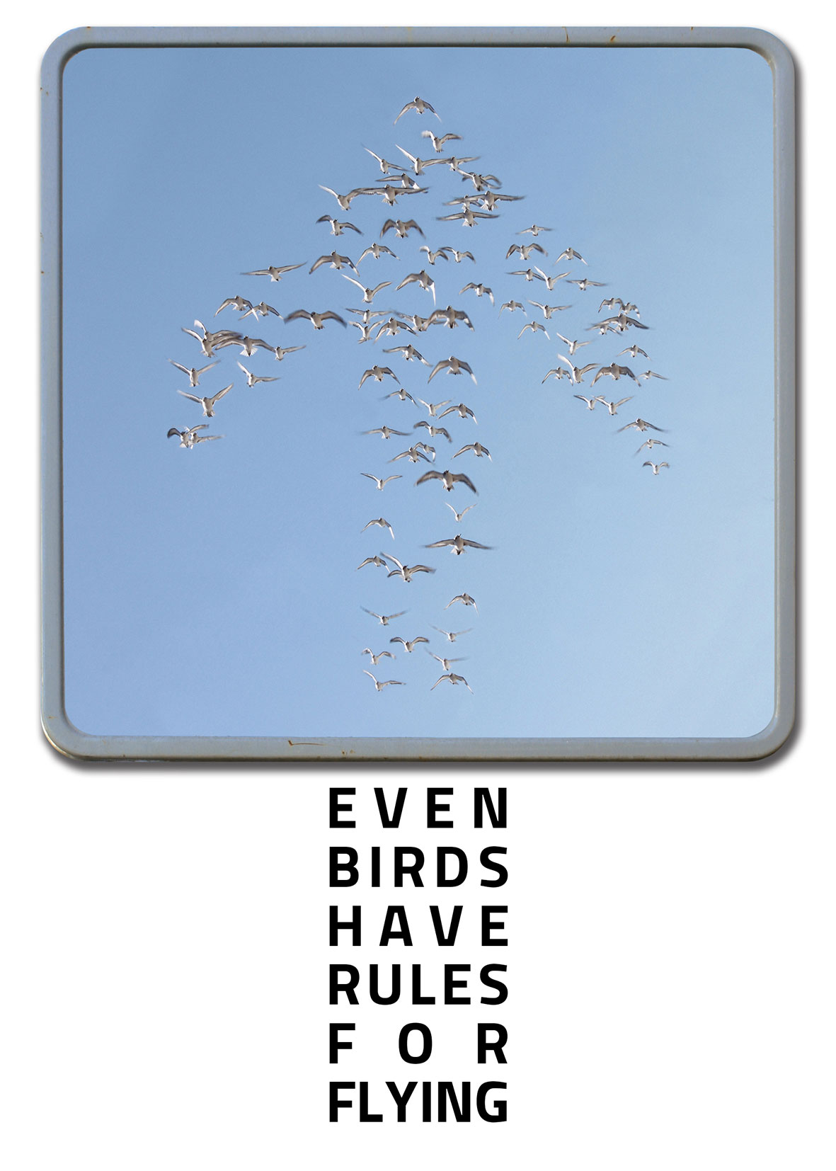 Flying – studiofarvardin