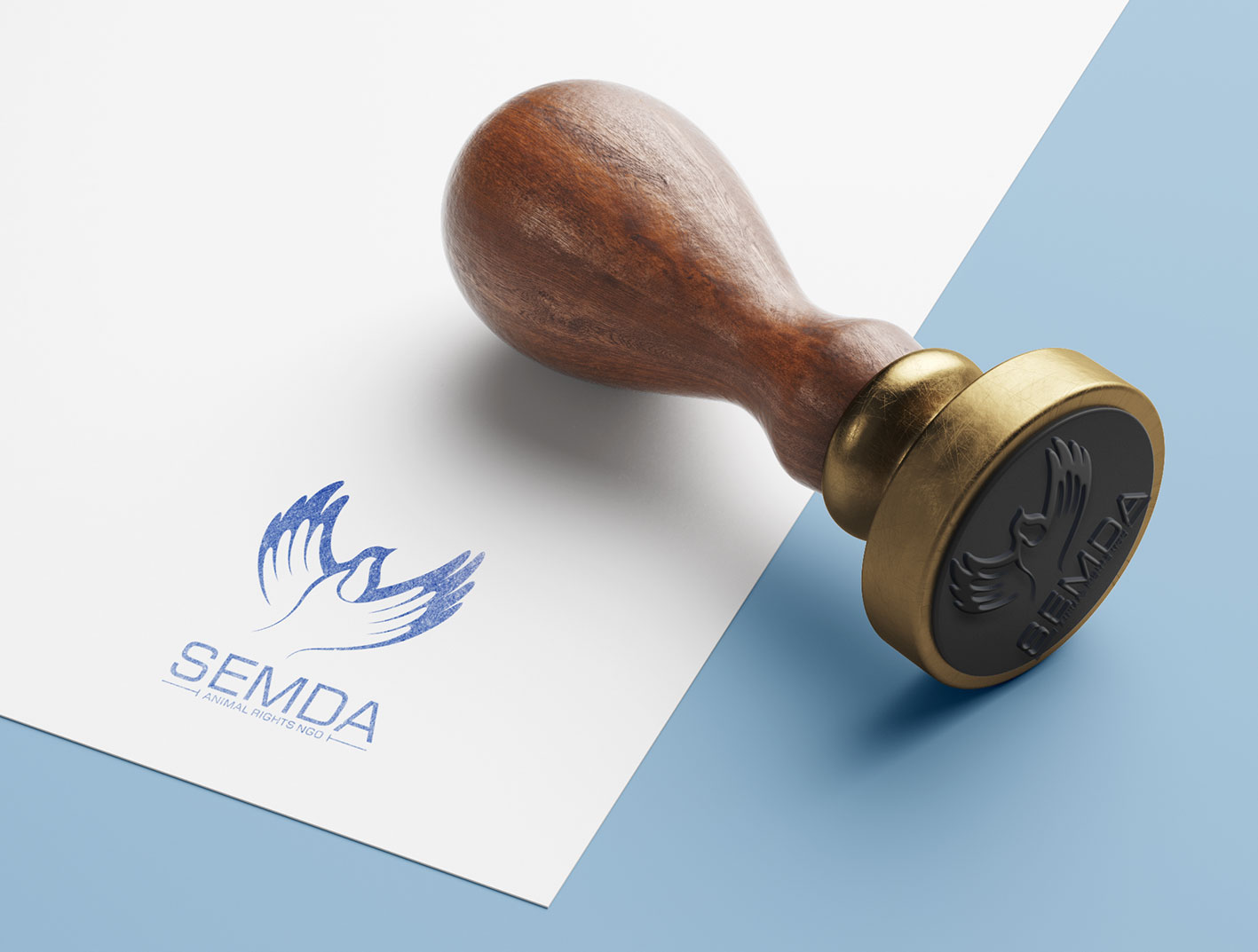 Semda – studiofarvardin